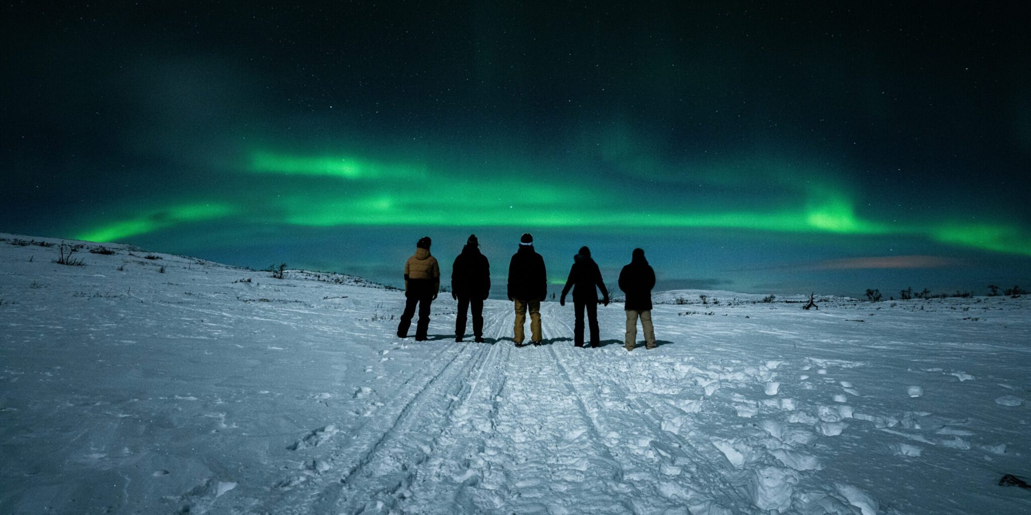 Wisp Announces Debut Album ‘If Not Winter’ and Global Tour – Musicians ...